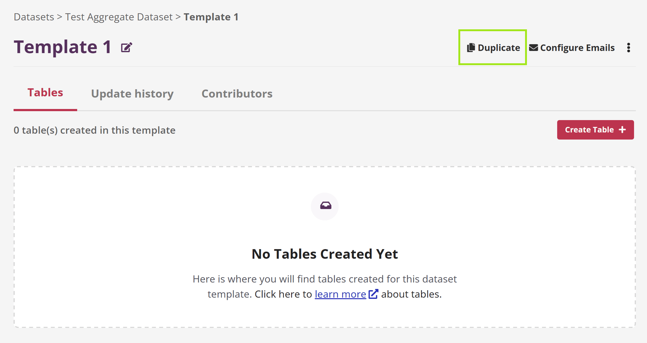 What is a Dataset Template?